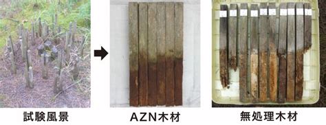 高耐久乾式防腐防蟻処理マスティンバーDLTAZNを発売 兼松サステック株と連携株長谷川萬治商店株長谷萬不動産のいえ