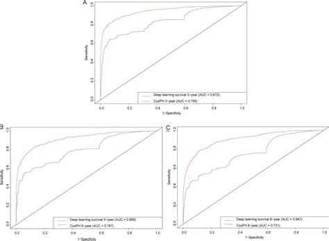 Deep Learning Based Survival Prediction Of Patients With Lower Limb Melanoma Pmc