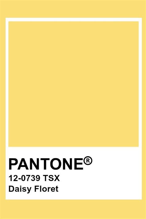 Pantone Daisy Floret Pantone Colour Palettes Yellow Pantone Pantone