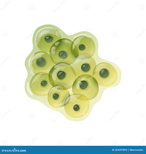 Frog Eggs Lifecycle Composition Cartoon Vector 264397859