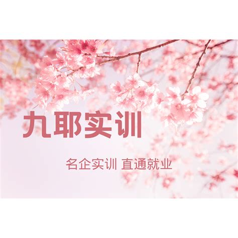 选择结构从句（switch条件从句） 知乎