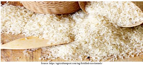Fortified Rice Kernels Testing Eurofins Scientific