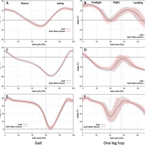 Variations In The Segment Angle Differences In The Segment Angles In Download Scientific