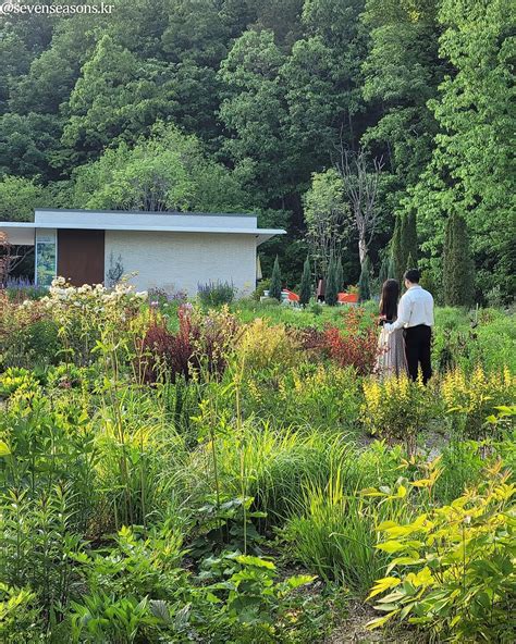 카페갈래 카페 맛집 바 여행 숙소 팝업 📍일곱 계절의 정원을 담은 서울근교카페🌿 농장체험부터 채집 그림그리기 등 볼거리도 많은 경기도 광주 가드닝카페 봄 내음