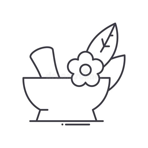 Spa Mortar And Pestle Icon Linear Isolated Illustration Thin Line