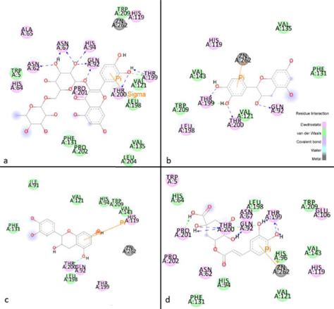 Binding Profile Between Molecules And Caii A Rutin B Catechin C
