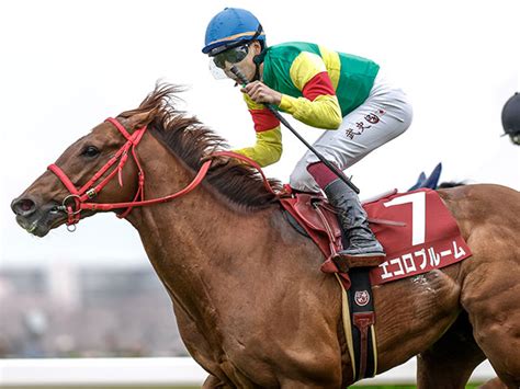 【pog】エコロブルームはnhkマイルcへ馬三郎のつぶやき 競馬ニュース Netkeiba