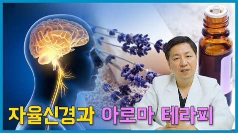 아로마테라피가 자율신경에 주는 효과 Youtube