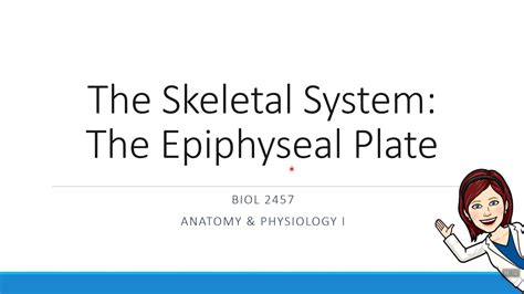 Epiphyseal Bone
