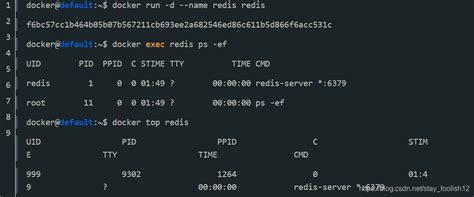 Docker Docker Csdn