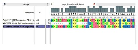 Genome Comparison Sequence 12 And 3 Download Scientific Diagram
