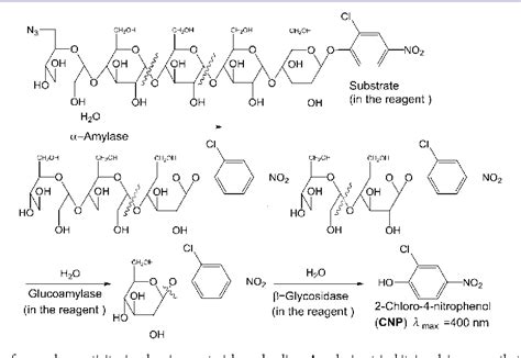 Figure 2 From Investigating The Hydrolysis Of Starch Using α Amylase