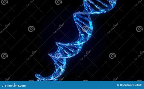 Dna编码 三维多边形线框dna 库存例证 插画 包括有 编码 转动 分子 医疗 医学 背包 155723675