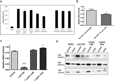 Nuclear Actin Regulates Class I Hdac Activity In Vitro A Hdac Download Scientific Diagram