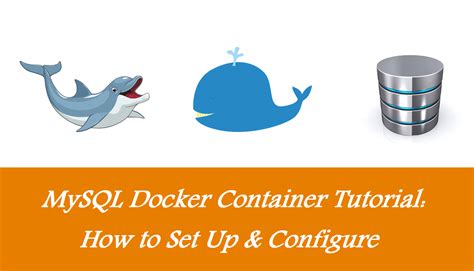 جی بلاگ نحوه راه اندازی و پیکربندی MySQL Docker Container