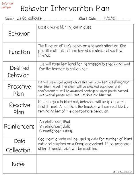 Positive Behavior Intervention Plan