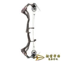 Pse Compound Bow