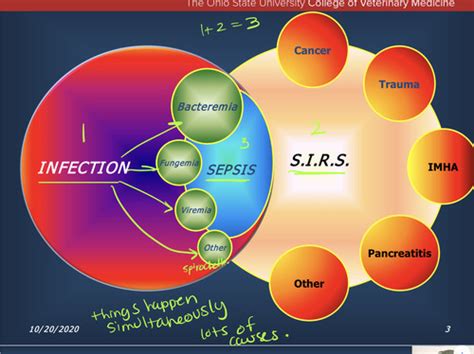 SIRS Sepsis MODS Flashcards Quizlet