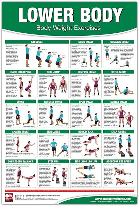 Lower Body Exercises No Equipment Store