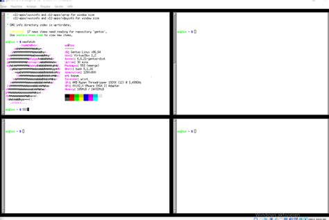 [bspwm] My Very First Gentoo Rice D R Unixporn