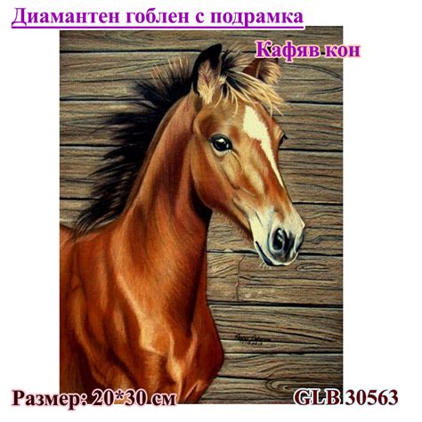 3d Диамантен гоблен с кристали Кафяв кон 20х30см с подрамка и с пълно
