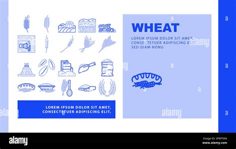 Wheat Grain Cereal Plant Landing Web Page Header Vector Barley Bread