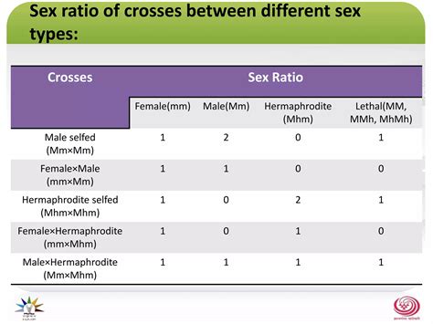 Sex Determination In Papaya Pptx