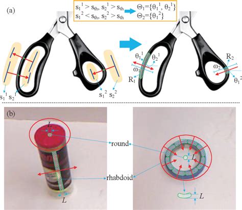Figure 1 From High Performance Pixel Level Grasp Detection Based On Adaptive Grasping And Grasp