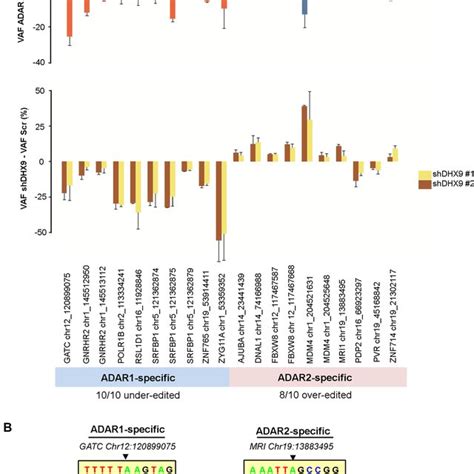 Domains Involved In Adars Dhx9 Interaction A Domain Mapping Of Adar1