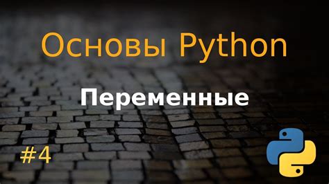 Основы Python 4 переменные Youtube
