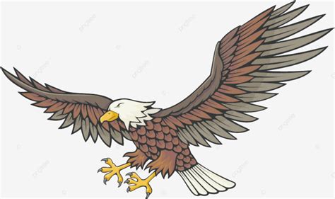 Eagle Attacking Vector Isolated Flying Vector Vector Isolated Flying Png And Vector With
