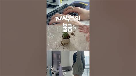 바쁘디 바쁜 재택러의 불금🔥 브이로그 집순이 Vlog 일상 직장인브이로그 Youtube