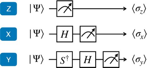 More Measurement And Correlation Based Variational Quantum Circuit For
