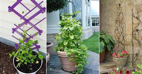 30 Diy Trellis Ideas For Your Garden 2017