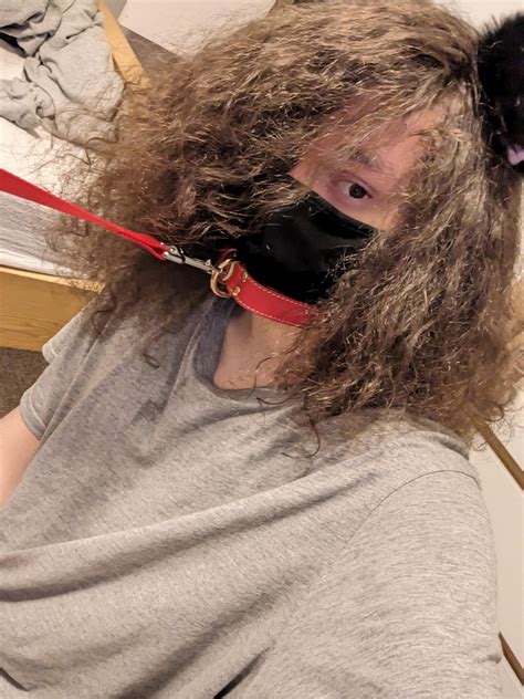 Why do u keep pulling my leash -_- : r/catboys