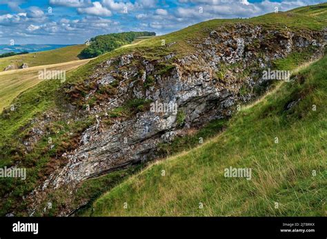 Irregularly Formed Fore Reef Limestone Exposed In The Steep Gorge Of