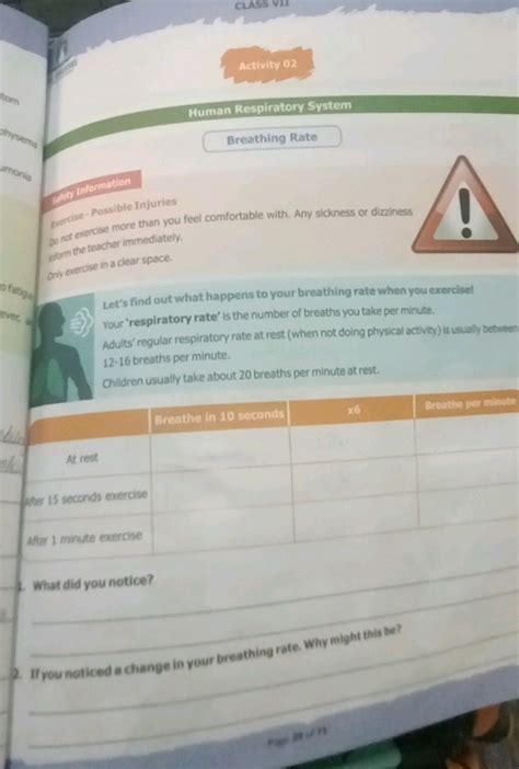 Activity 02 Human Respiratory System StudyX