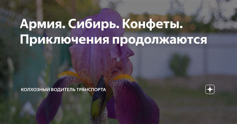 Армия. Сибирь. Конфеты. Приключения продолжаются | Колхозный водитель ...