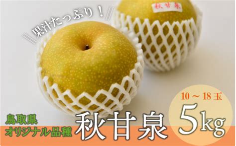 秋甘泉 倉吉産 5kg 令和6年産 梨 鳥取 梨 5kg 果物 フルーツ 和梨 先行予約 数量限定 詰め合わせ 秋甘泉 鳥取県倉吉市