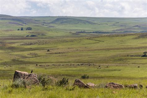 Seven Grasslands Wonders Wwf South Africa