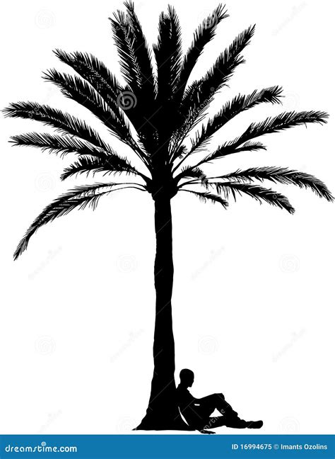 Palm Tree With Sitting Man Stock Vector Illustration Of Away 16994675