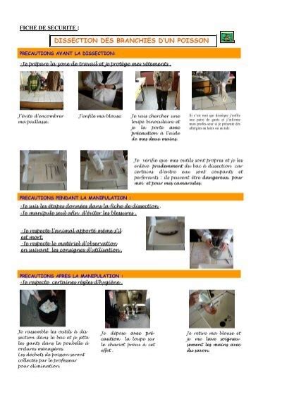 TP MISE EN EVIDENCE DES