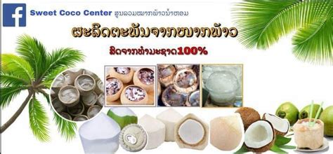 Sweet Coco Center Sweet Coco Center ສູນລວມໝາກພ້າວນໍ້າຫອມ
