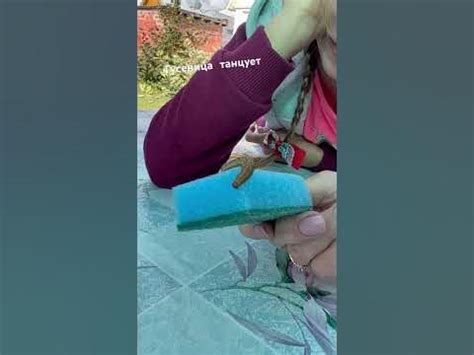 Танцующая гусеница в нашем саду - YouTube