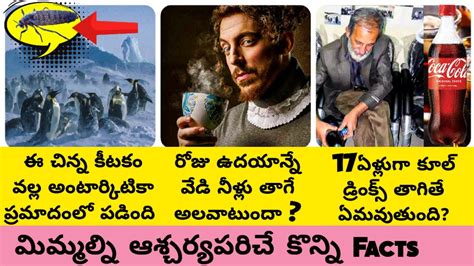 ⚡intresting Facts Telugu Telugu Facts Amazing Facts Telugu