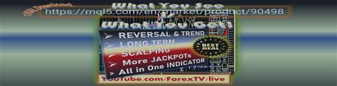 Secret Trading Strategy 1 For Forex Success In 2023 Analytics