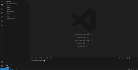 Vscode Tunnel