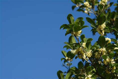 古文夸女生美的8种表达方式凤凰网