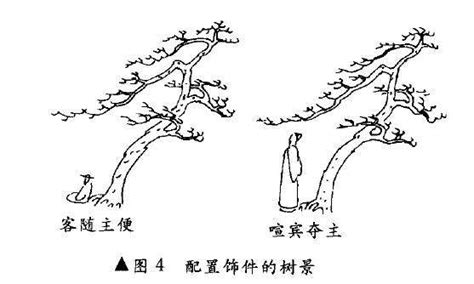 图解 树木盆景造型怎么主次分明 Penjing8盆景吧