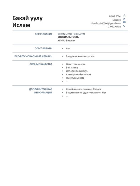 Rezume Pdf